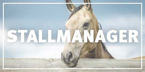 Offenstallsysteme / Stallmanager – Pferde.world
